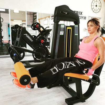 Cina Scelta di carico universale per l'estensione delle gambe sedute e per il curling delle gambe per l'allenamento di forza in vendita