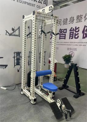 中国 筋トレ 2 in 1 ハイプル・ロー・ロー・ロー・ライン・フィットネス・エキピレーティング 販売のため