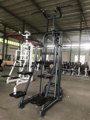 Cina Medium Loader Strength Training Assist Chin Dip Machine opzionale colore del telaio selezionabile in vendita