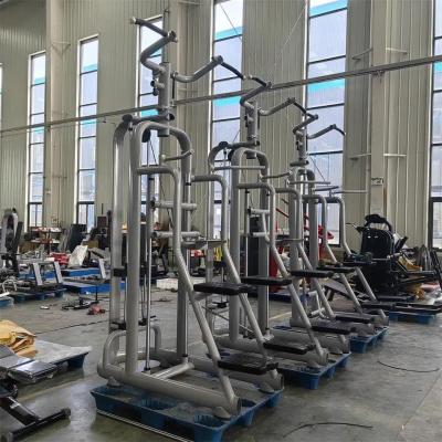 Cina Medium Loader Strength Training Assist Chin Dip Machine opzionale colore del telaio selezionabile in vendita