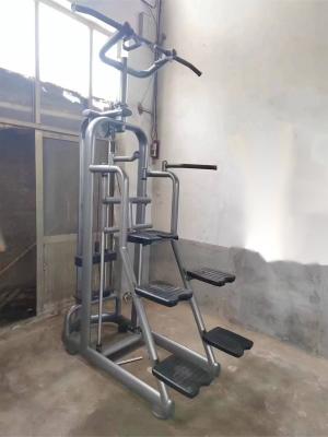 Cina Medium Loader Strength Training Assist Chin Dip Machine opzionale colore del telaio selezionabile in vendita