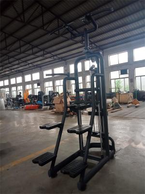 Cina Medium Loader Strength Training Assist Chin Dip Machine opzionale colore del telaio selezionabile in vendita
