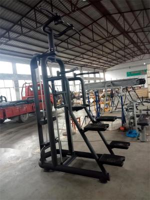 Cina Medium Loader Strength Training Assist Chin Dip Machine opzionale colore del telaio selezionabile in vendita