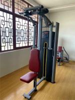 China 2020 Design Commercial Rear Delt Pec Fly Machine with Optional Selectable Frame Color for sale