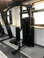 China Optional Selectable Frame Color Medium Loader Commercial Seated Rear Delt Pec Fly Machine for sale