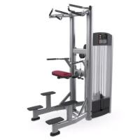 China Strength Training Pin Loaded Pull Up Bar Triceps Deltoids Workout Dipping Machine for sale