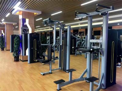 Cina Strength Training Pin caricato Pull Up Bar Triceps Deltoids Workout Dipping Machine in vendita