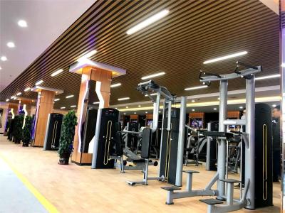 Cina Strength Training Pin caricato seduto abdominale Crunch Machine con resistenza regolabile in vendita