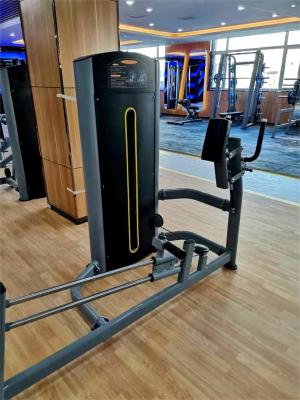 Cina La macchina per il gluteo kickback, l' aggiunta perfetta al tuo allenamento di forza del centro di palestra. in vendita