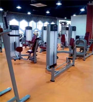 Cina La macchina per il gluteo kickback, l' aggiunta perfetta al tuo allenamento di forza del centro di palestra. in vendita