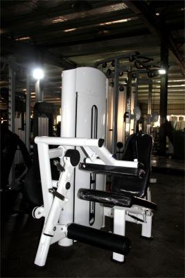 Cina Regolabile in acciaio seduto Calf Esercizio Pin carico Leg Curl Machine 1600 * 1200 * 1750 mm in vendita