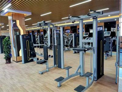 Cina Regolabile in acciaio seduto Calf Esercizio Pin carico Leg Curl Machine 1600 * 1200 * 1750 mm in vendita