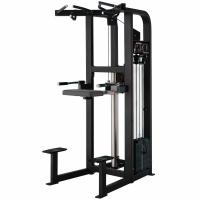 Quality Medium Loader Home Gym Machine Pin Loaded Assisted Chin Up Bar Workout for for sale