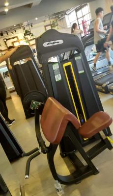 Cina Equipaggiamento commerciale per allenamento di forza per palestra Bicep Curl Machine con design personalizzato in vendita