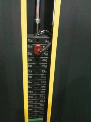 Cina L'allenamento di forza commerciale è diventato facile con una macchina con una capacità di 194 kg in fila posteriore. in vendita