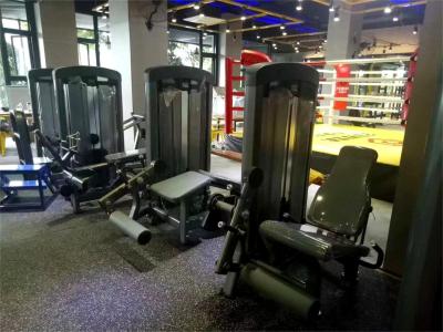 Cina Dual Function Pin Loaded Quads Calf Workout per l'esercizio delle gambe in vendita