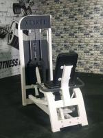 China Commercial Super Selling Horizontal Calf Exercise Machine with Customized Options for sale