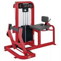 China Commercial Super Selling Horizontal Calf Exercise Machine with Customized Options for sale