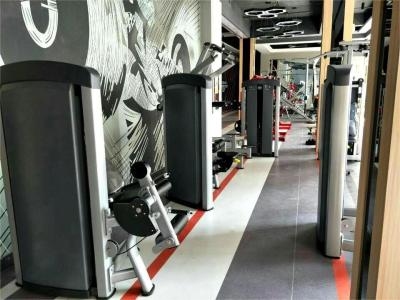 Cina Macchina per bicipiti con caricatore medio Raggiungi i tuoi obiettivi di fitness con braccia e spalle forti in vendita