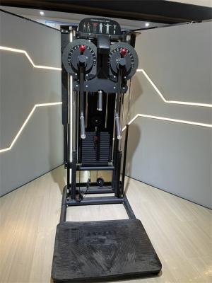Cina Attrezzature di palestra multifunzione per l'estensione della schiena e l'innalzamento laterale in piedi in vendita