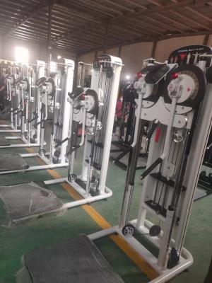 Cina Attrezzature di palestra multifunzione per l'estensione della schiena e l'innalzamento laterale in piedi in vendita