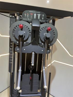 Cina Allenamento della forza Multifunzionale Gym Pin Selezione del carico Standing Multi Flight Machine in vendita