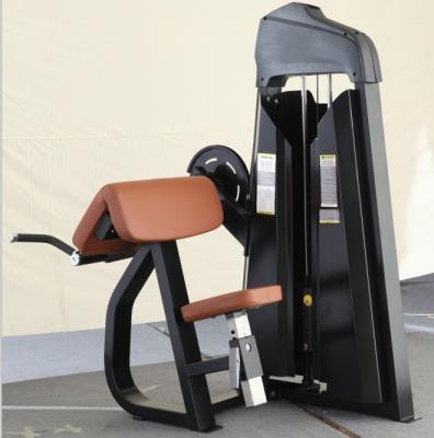 Cina Medium Loader Gym Fitness Equipment Pin Loaded Seated Bicep Curl Machine per allenamento in vendita