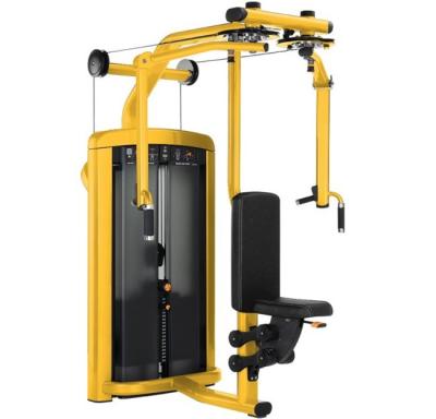 Cina Attrezzatura di carico per palestra a spina posteriore Delt Pec Fly Machine personalizzata per l'allenamento di forza in vendita
