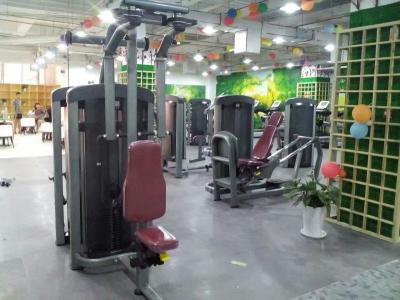 Cina Attrezzatura di carico per palestra a spina posteriore Delt Pec Fly Machine personalizzata per l'allenamento di forza in vendita