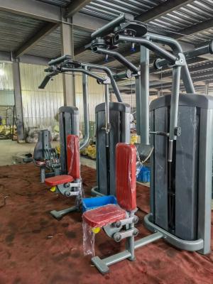 Cina Attrezzatura di carico per palestra a spina posteriore Delt Pec Fly Machine personalizzata per l'allenamento di forza in vendita