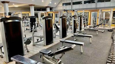 Cina Attrezzatura di carico per palestra a spina posteriore Delt Pec Fly Machine personalizzata per l'allenamento di forza in vendita