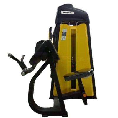 China 1380*930*1580 Commercial Strength Machine Camber Curl voor sportschoolapparatuur door Befreeman Te koop