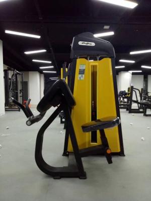 China 1380*930*1580 Commercial Strength Machine Camber Curl voor sportschoolapparatuur door Befreeman Te koop