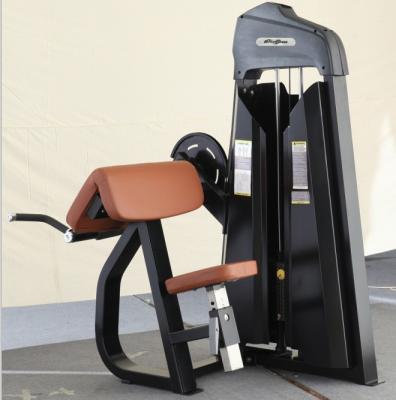 Cina Precor Camber Curl Machine per l'allenamento delle spalle e l'esercizio del bicip curl in vendita