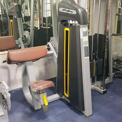 Cina Precor Camber Curl Machine per l'allenamento delle spalle e l'esercizio del bicip curl in vendita