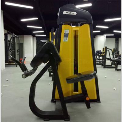 Cina Precor Camber Curl Machine per l'allenamento delle spalle e l'esercizio del bicip curl in vendita