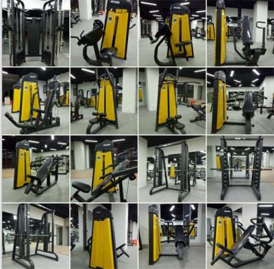 Cina Precor Camber Curl Machine per l'allenamento delle spalle e l'esercizio del bicip curl in vendita