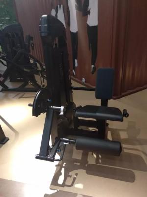 China Befreeman zittende beenverlengmachine voor commerciële fitness- en krachttraining Te koop