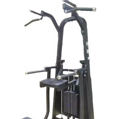 China Aanpasbare pin-laden Dip/Chin Assisted Gym Machine Ideaal voor schouderbeen training Te koop