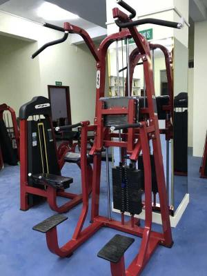 China Aanpasbare pin-laden Dip/Chin Assisted Gym Machine Ideaal voor schouderbeen training Te koop