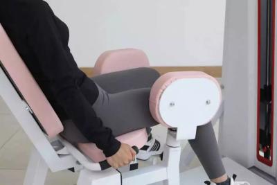 China Medium Loader Pin Loaded Abdominal Crunch Machine voor commerciële stalen sportschoolapparatuur Te koop