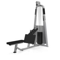 China Optional Selectable Frame Color Befreeman Gym Seated Low Row for Strength Training for sale