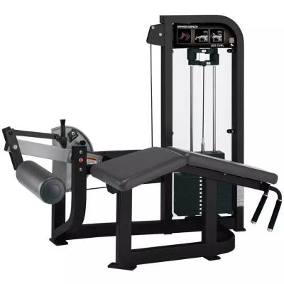 Cina Disegno universale Prone Gym Leg Curl Equipaggiamento di estensione Macchina Befreeman Commerciale in vendita