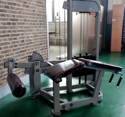 Cina Disegno universale Prone Gym Leg Curl Equipaggiamento di estensione Macchina Befreeman Commerciale in vendita
