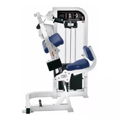 中国 パーソナライズされた中型ローダー 三股筋拡張ジム 成果のためのビーフリーマン力 販売のため