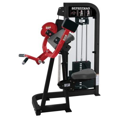 Cina Macchina di forza in acciaio Biceps Curl Seduta Biceps Curl Machine di Befreeman per Gym in vendita