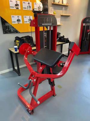 Cina Macchina di forza in acciaio Biceps Curl Seduta Biceps Curl Machine di Befreeman per Gym in vendita