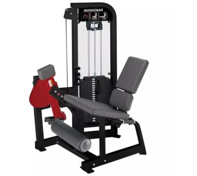 Cina 1300*950*1630 Funzione Strength Training Befreeman Pin loaded Body Building Equipment in vendita