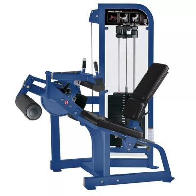 Cina Costruzione della forza Essential Befreeman Seduto Leg Curl Machine Medium Loader Tipo in vendita