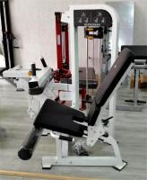 China Strength Building Essential Befreeman Seated Leg Curl Machine Medium Loader Type for sale